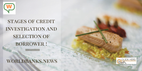 Stages of Credit Investigation and Selection of Borrower:Credit invest