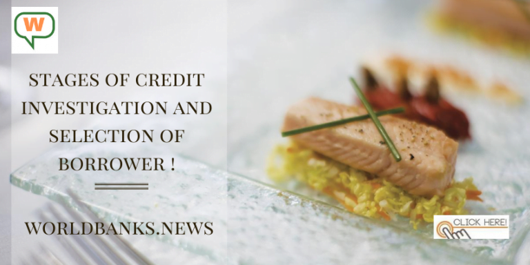 Stages of Credit Investigation and Selection of Borrower:Credit invest