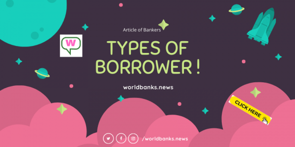 Type of Borrower : Individual : A single person or a sole proprietorship